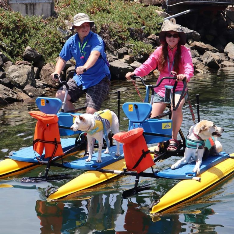 Water Bikes By Hydrobike. USA Built. New & Used Hydrobikes For Sale.